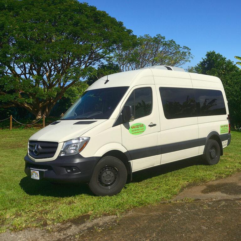 Tour Volcanoes National Park - Hawaii Geo Tours | Big Island